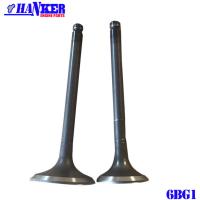 China Casting 4cr9si2 Intake Exhaust Valve Top Mounted Excavator Isuzu 6BG1 for sale