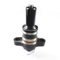 China Fuel Injection Pump Diesel Engine Plunger 2469403622 F019 D03 313 Cp2.2 for sale