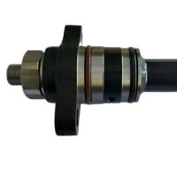 China Fuel Injection Pump Diesel Engine Plunger 2469403622 F019 D03 313 Cp2.2 for sale