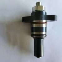 China Fuel Injection Pump Diesel Engine Plunger 2469403622 F019 D03 313 Cp2.2 for sale