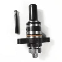 China Fuel Injection Pump Diesel Engine Plunger 2469403622 F019 D03 313 Cp2.2 for sale