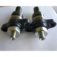 China Fuel Injection Pump Diesel Engine Plunger 2469403622 F019 D03 313 Cp2.2 for sale