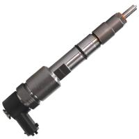 China Fuel Injector 0445110442 0445110443 Compatible With Great Wall V200 Diesel Engine 2.0l Gw4d20 for sale