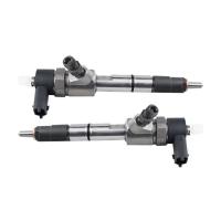 China 0445110619 1100100xed15 Common Rail Injector For Havel H5 H3 Great Wall Pickup Fengjun 5 European for sale