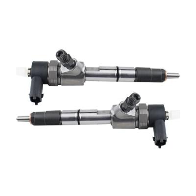 China 0445110619 1100100xed15 Common Rail Injector For Havel H5 H3 Great Wall Pickup Fengjun 5 European for sale
