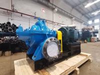 China 39m Head 485m3/h Double Suction Split Case Single Stage Water Pump 250S39 for sale