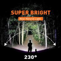 China Source Factory Direct Sale Outdoor Lighting Tools Rechargeable Induction Headlight Super Bright Floodlight Camping Lamp for sale