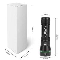 China Professional Diving Flashlight 2000lumens 100M Depth Scuba Diving Torch Aluminum Alloy IP68 Waterproof Fishing LED Flashlight for sale