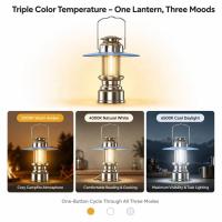 China Outdoor Camping Lighting Atmosphere Lamp New Portable Retro Horse Lamp Tent Lamp Charging Lighting Reading Lamp for sale