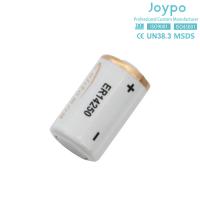 China Disposable ER14250 Lithium Battery 3.6V 1.2Ah Lithium Cell For Electricity Meter for sale