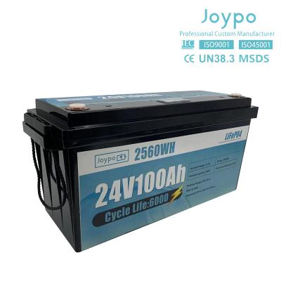 China Long Life Lifepo4 Lithium 24 Volt Marine Battery 100Ah For Boat for sale