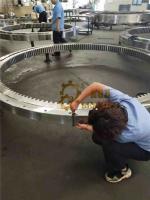 China Slewing bearings large size slewing bearing for port crane for sale