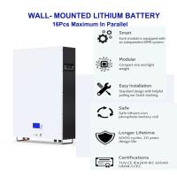 China LiFePO4 100Ah 200Ah 10Kwh Household Energy Storage Battery With 56-58V Charging for sale