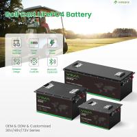 China Customizable Electric Golf Trolley Lithium Battery 48volt Environmental Friendly for sale