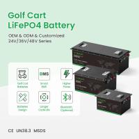 China Customizable Electric Golf Trolley Lithium Battery 48volt Environmental Friendly for sale