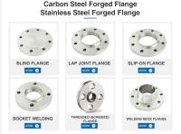 China Pn6-100 Forged Stainless Steel Flanges Neck Welded Duplex Steel Flanges National Standard for sale