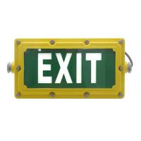 China Non Maintained LED Explosion Proof Emergency Exit Lights 5W 500Lm Wall mounting for sale