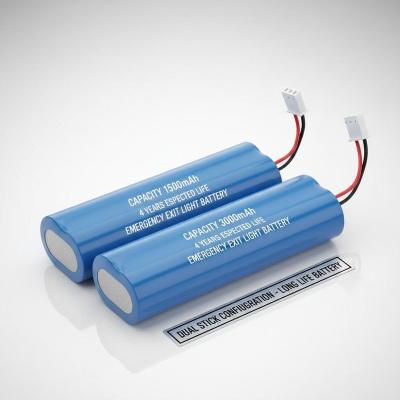 China 4 Years Expected Life Emergency Exit Light Batteries Capacity 1500mAh 3000mAh Dual Stick Configuration Long Life Battery for sale