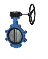 China API609 EPDM Lined PTFE Cast Iron Lug Type Wafer Butterfly Valve for Customized Needs for sale