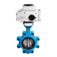 China Cast Ductile Iron SS Lt Wafer Type Butterfly Valve with EPDM PTFE Sealing Ring Customized for sale