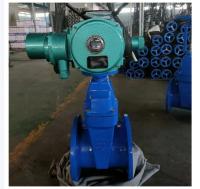 China Avaiable OEM Carbon Steel WCB NKZ961H Electric Flange Vacuum Gate Valve Standard DIN F6 for sale