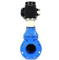 China Avaiable OEM Carbon Steel WCB NKZ961H Electric Flange Vacuum Gate Valve Standard DIN F6 for sale