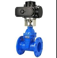 China Avaiable OEM Carbon Steel WCB NKZ961H Electric Flange Vacuum Gate Valve Standard DIN F6 for sale