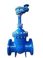 China Gate Valves Structure Y type ANSI API 150Lb 300lb 20 Inch Carbon Steel Flange Forged Steel for sale