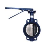 China OEM Port Size Stainless Steel/Carbon Steel Butterfly Valve with Manual Operation for sale
