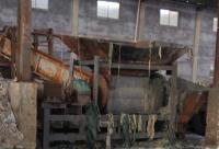 China Customized Stainless Steel Cowhide Sheep Pig Skin Cutting Machine for Making Gelatin for sale