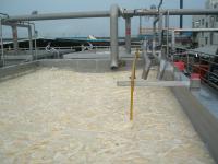 China Stainless Steel Gelatin Equipment For Leather Washing Plant Customized for sale