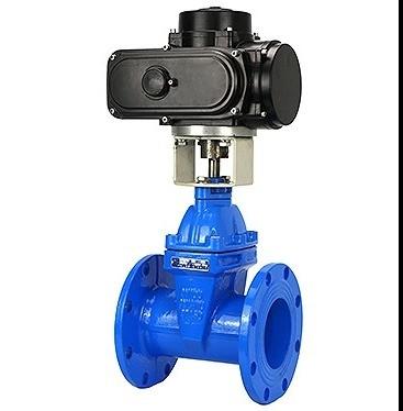 China Excellent Stainless Steel Industrial Pipe Release Valves with OBM Customized Support for sale