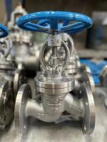 China Excellent Stainless Steel Industrial Pipe Release Valves with OBM Customized Support for sale
