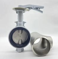 China Port Size with Customer's Requirements Sea Water Butterfly Valve DN100 DN500 2
