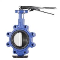 China Customized Cast Iron Gear Wafer Connection Lug Support Butterfly Valve Pipe Fitting for sale