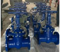 China 3 Inch CF8 Stainless Steel Flange Gate Valve with Y Type Strainer and Manual Control for sale
