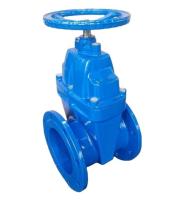 China Y Type DN40-DN1200 High Pressure Stainless Steel Gas Valve Pn16 Pn10 Z41 Gate Valve for sale
