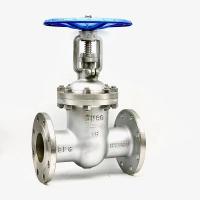 China Y Type DN40-DN1200 High Pressure Stainless Steel Gas Valve Pn16 Pn10 Z41 Gate Valve for sale