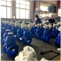 China Rubberized Wedge Flange Gate Valve Cast Iron Body for Durability and Reliability for sale