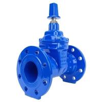 China Water Ductile Y Type Gate Valve with Flange Connection and Stainless Steel Material for sale