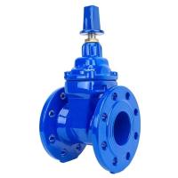 China Water Ductile Y Type Gate Valve with Flange Connection and Stainless Steel Material for sale