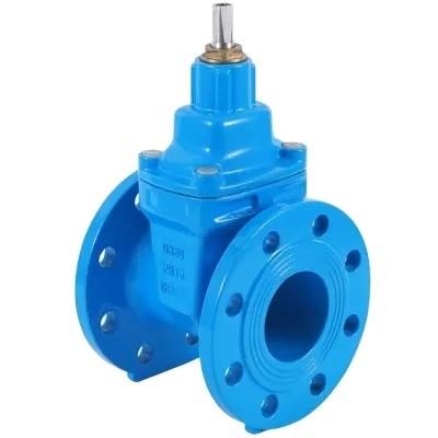 China DN80 DN200 Y Type Strainer for HDPE Pipe PN16 Ductile Iron Carbon Steel Gate Valve for sale