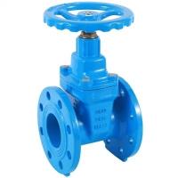 China DN80 DN200 Y Type Strainer for HDPE Pipe PN16 Ductile Iron Carbon Steel Gate Valve for sale