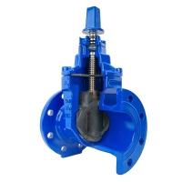 China DN80 DN200 Y Type Strainer for HDPE Pipe PN16 Ductile Iron Carbon Steel Gate Valve for sale