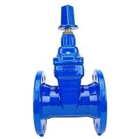 China DN80 DN200 Y Type Strainer for HDPE Pipe PN16 Ductile Iron Carbon Steel Gate Valve for sale