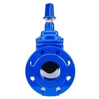 China DN80 DN200 Y Type Strainer for HDPE Pipe PN16 Ductile Iron Carbon Steel Gate Valve for sale