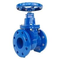 China DN80 DN200 Y Type Strainer for HDPE Pipe PN16 Ductile Iron Carbon Steel Gate Valve for sale