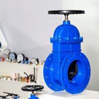 China Durable Rubber Seal Cast Iron and Stainless Steel Gate Valve with Customized Port Size for sale