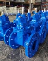 China Industry Water Valve Resilient Seat Soft Flange Water Control Stainless Steel Gate Valve for sale