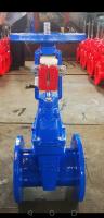 China Y Type Industrial Rising Stem Steel Motor Gear Operated Wedge Stainless Steel Gate Valve for sale